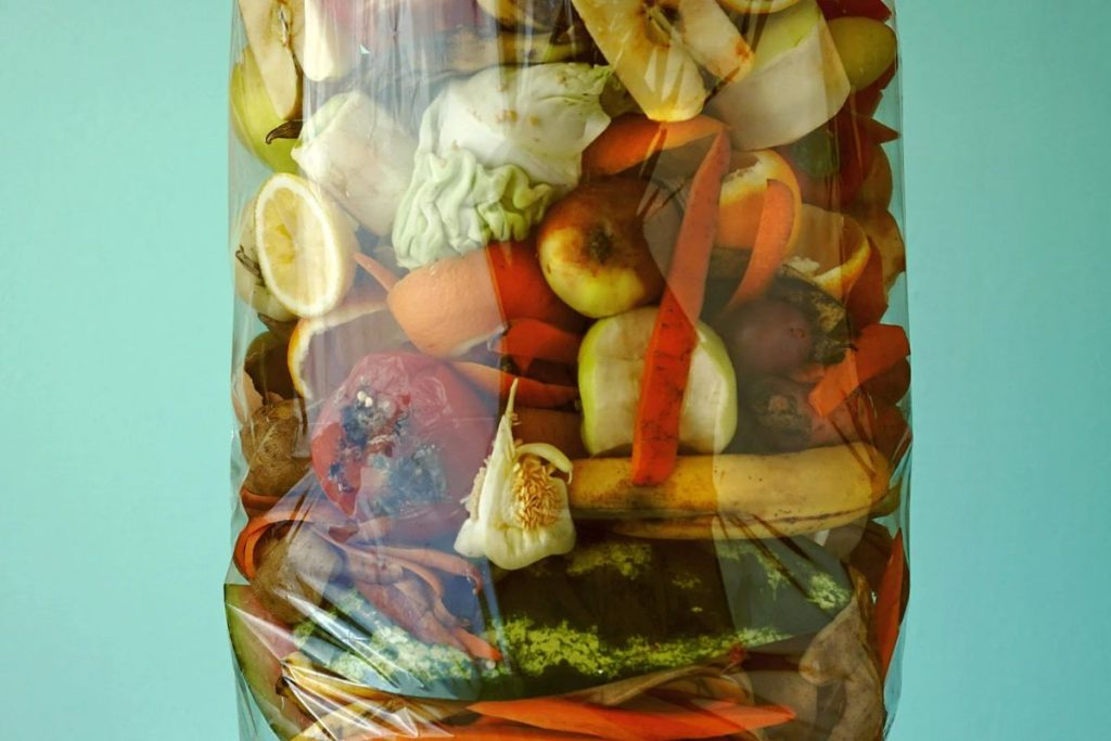 How to Use Food Scraps and Reduce Food Waste - Food Back